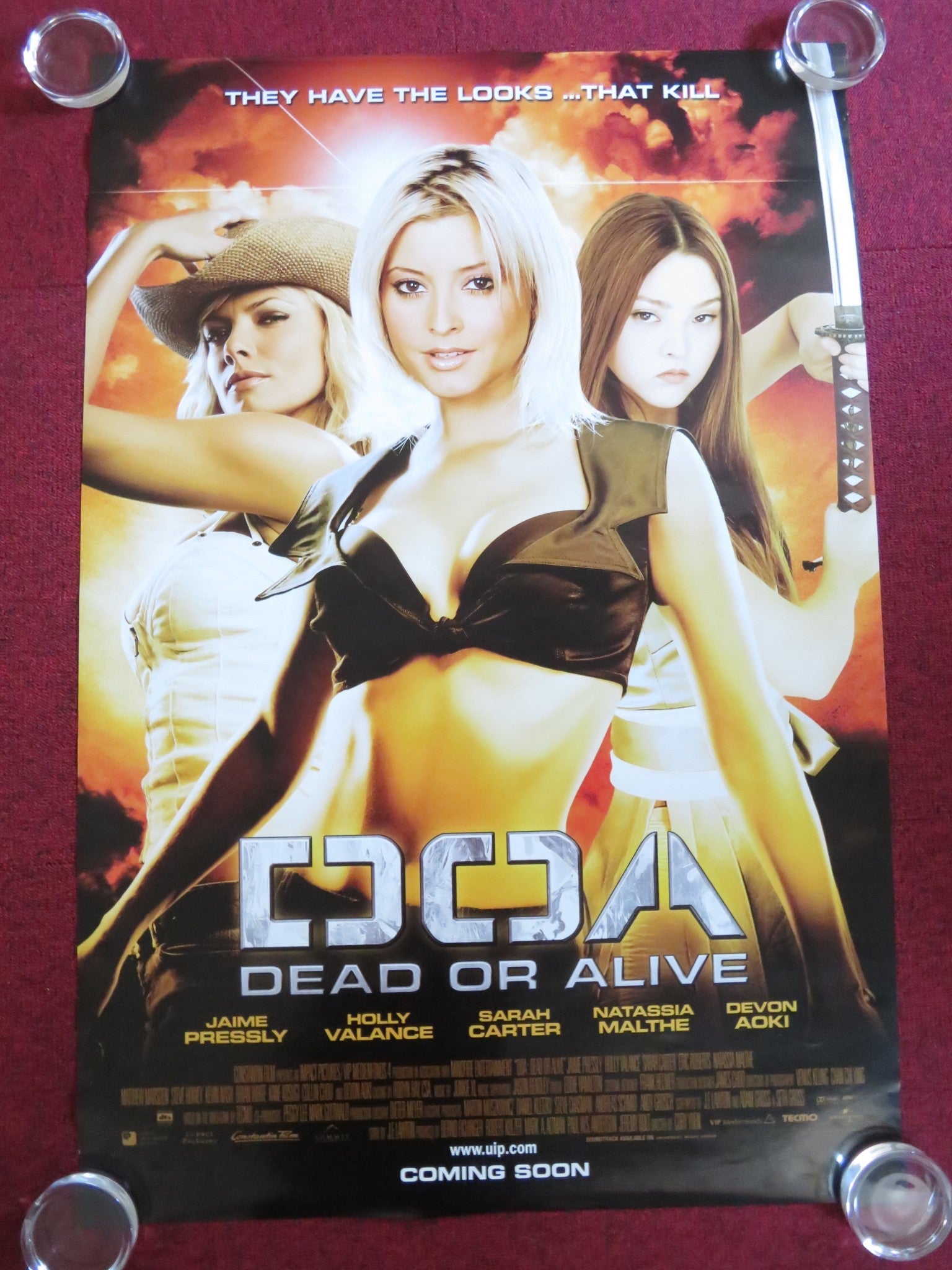 DOA: DEAD OR ALIVE US ONE SHEET ROLLED POSTER JAIME PRESSLY HOLLY VALA – Rendezvous Cinema