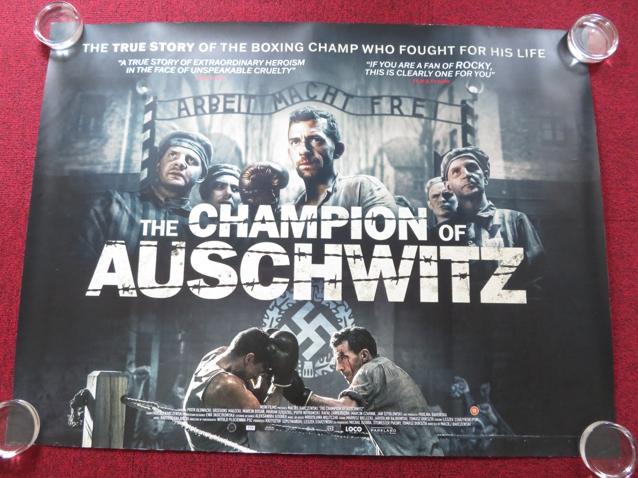 THE CHAMPION OF AUSCHWITZ UK QUAD (30"x 40") ROLLED POSTER PIOTR GLOWA ...