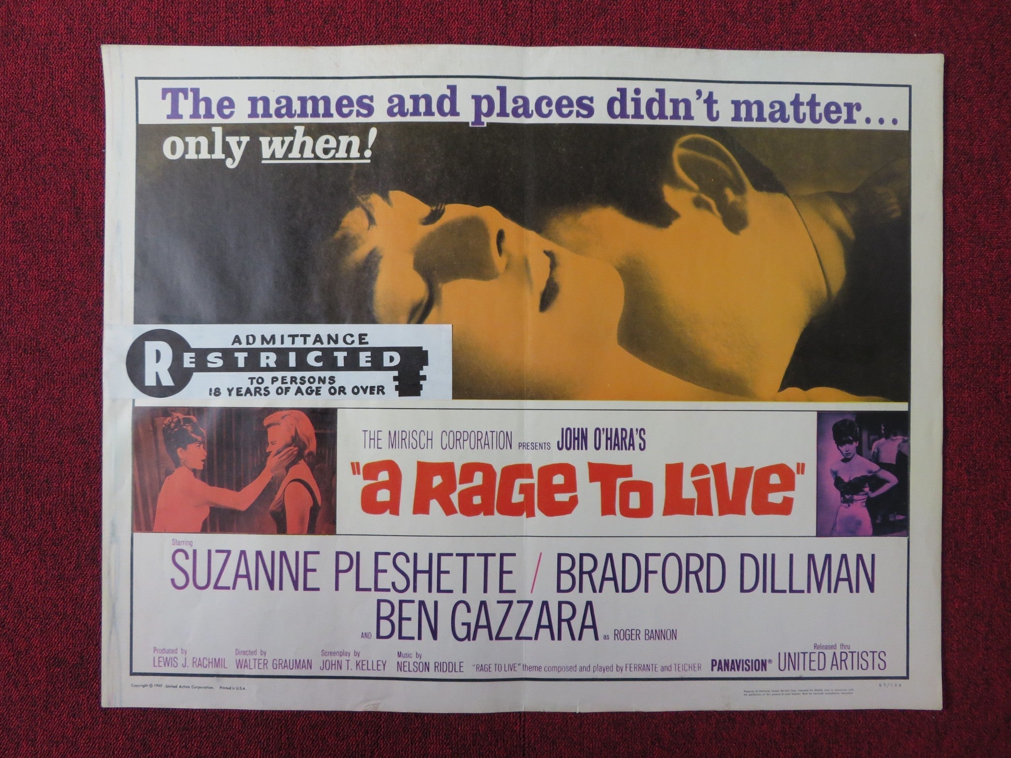 A RAGE TO LIVE US HALF SHEET (22"x 28") POSTER SUZANNE PLESHETTE DILLM ...