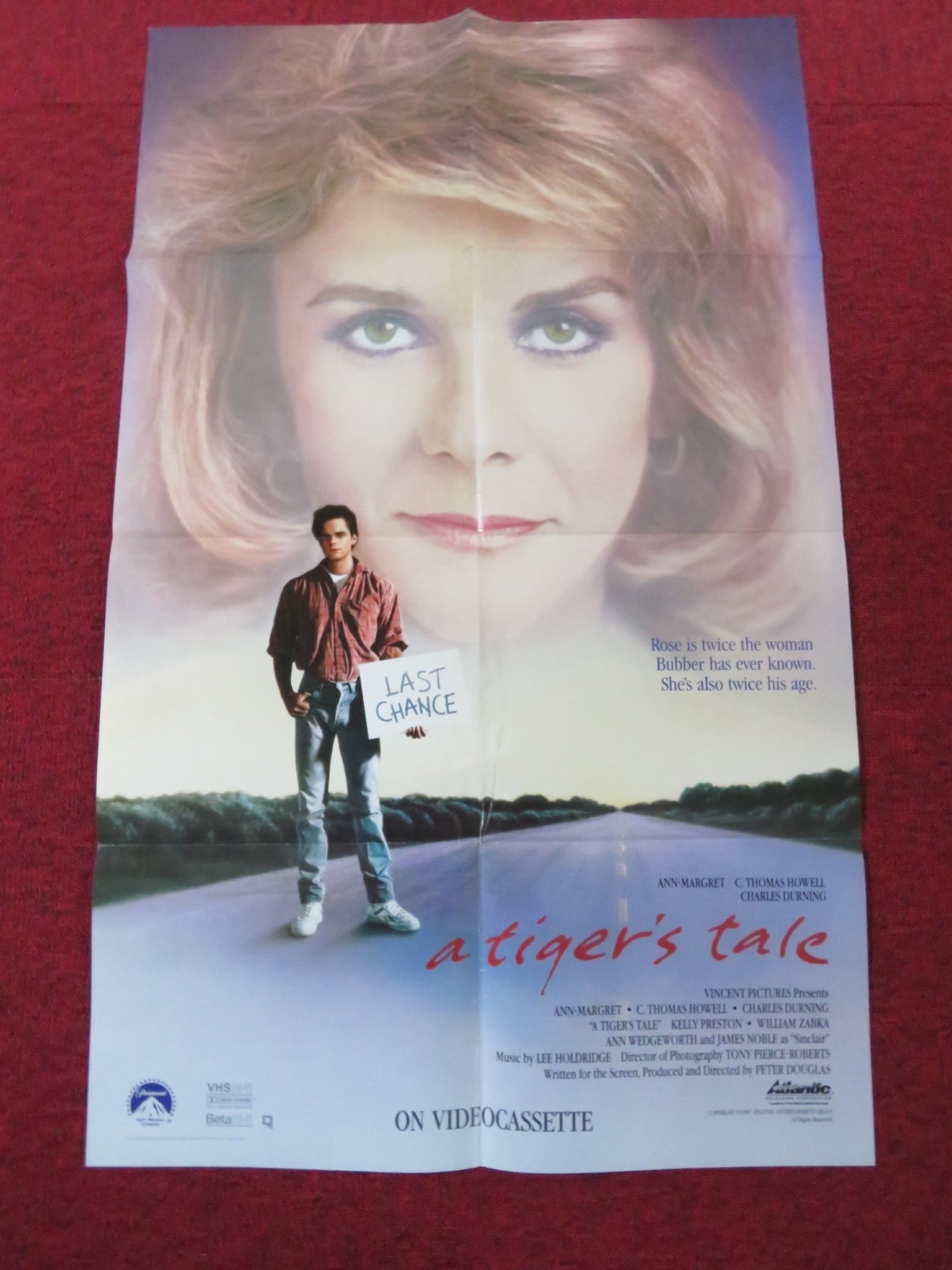 A TIGER'S TALE VHS FOLDED US ONE SHEET POSTER ANN-MARGRET C. THOMAS HO ...
