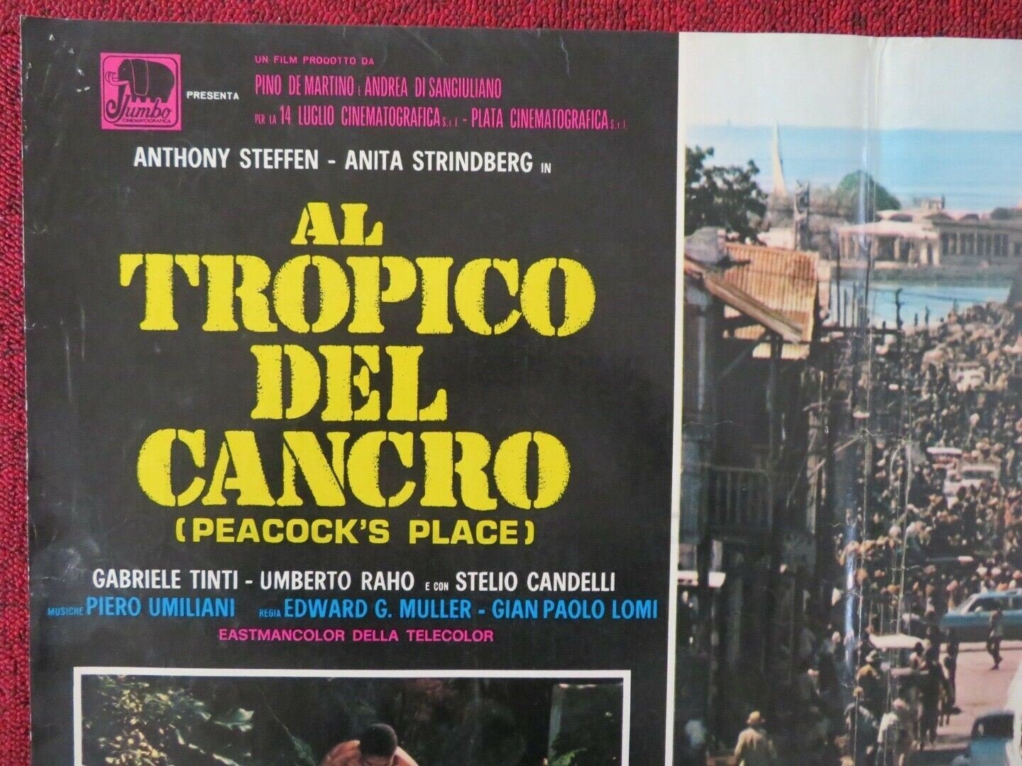 AL TROPICO DEL CANCRO / PEACOCK'S PLACE - B ITALIAN FOTOBUSTA POSTER 1 ...