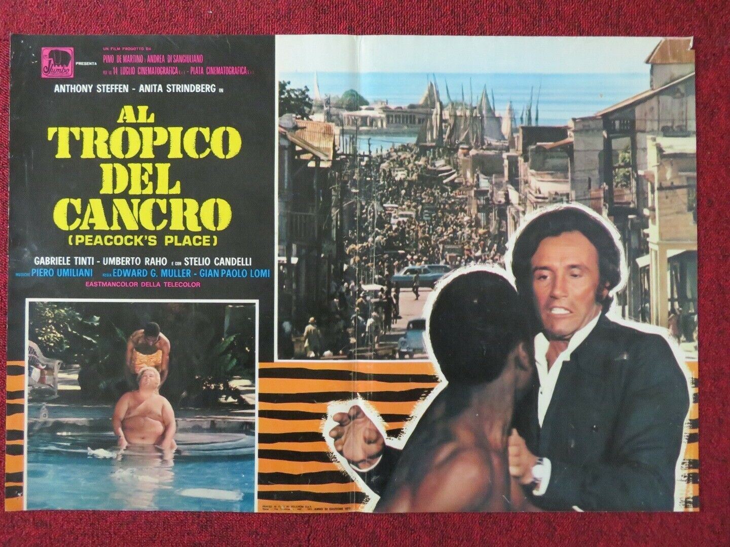 AL TROPICO DEL CANCRO / PEACOCK'S PLACE - B ITALIAN FOTOBUSTA POSTER 1 ...