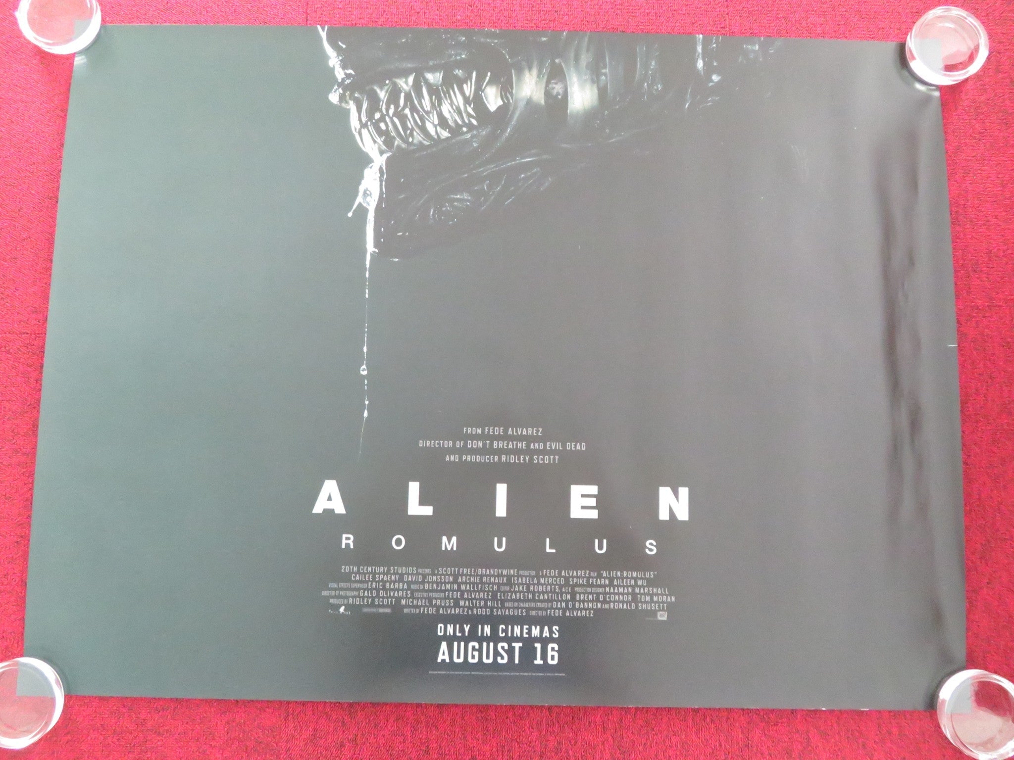 ALIEN: ROMULUS - B UK QUAD ROLLED POSTER CAILEE SPAENY DAVID JONSSON 2 ...