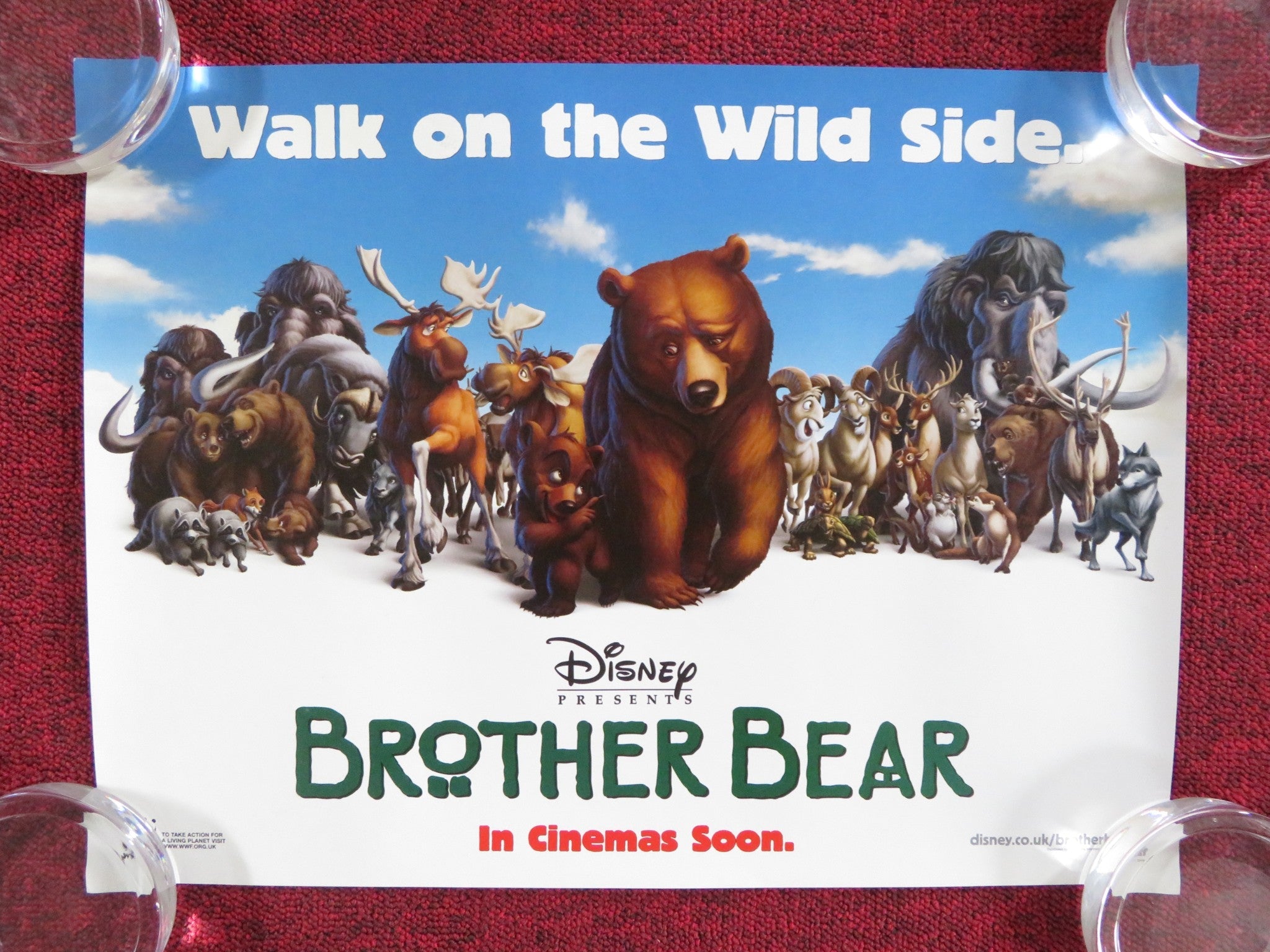 BROTHER BEAR UK MINI QUAD POSTER JOAQUIN PHOENIX JEREMY SUAREZ 2003 ...