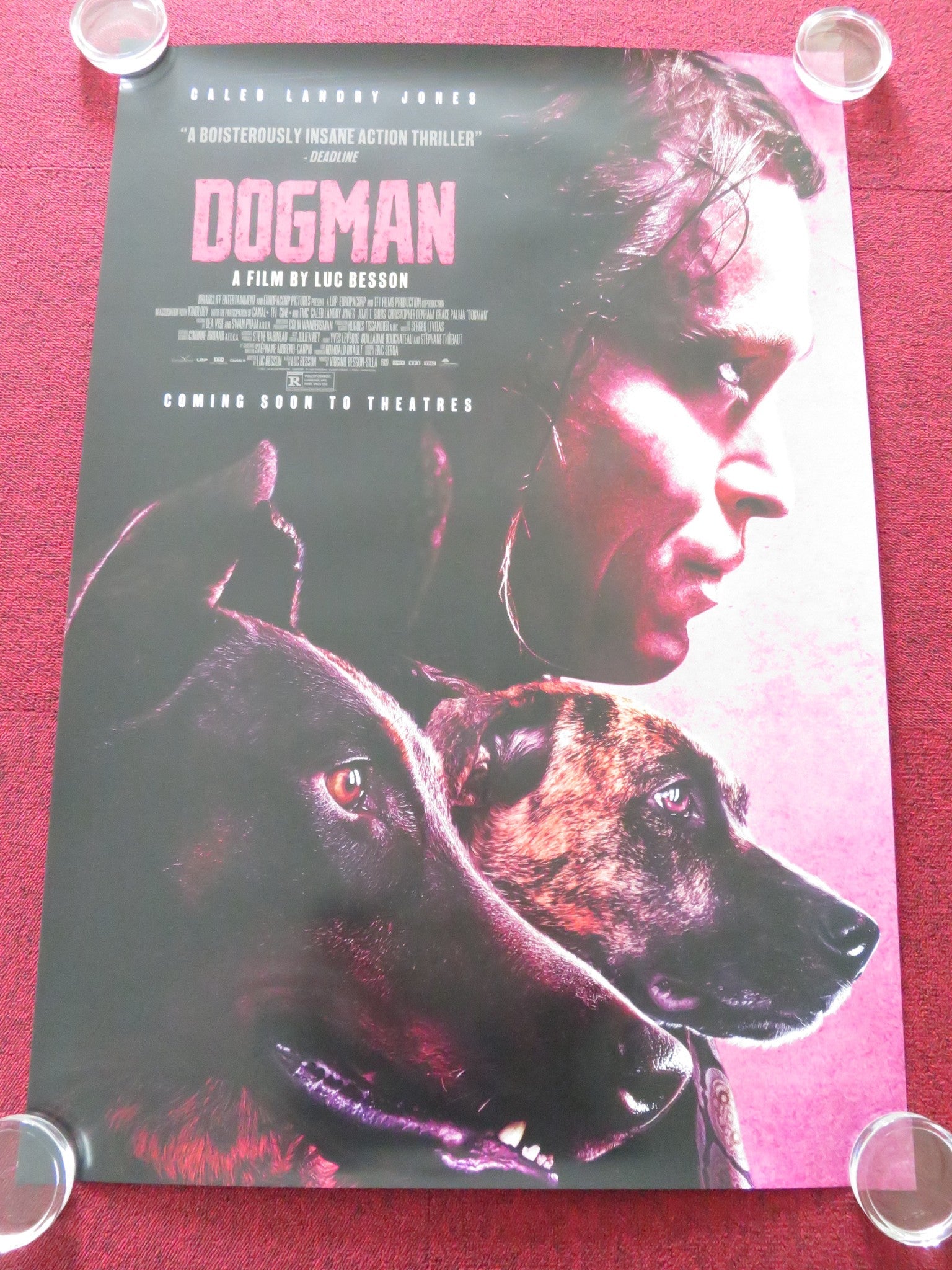 DOGMAN US ONE SHEET ROLLED POSTER CALEB LANDRY JONES JOJO T. GIBBS 202 ...