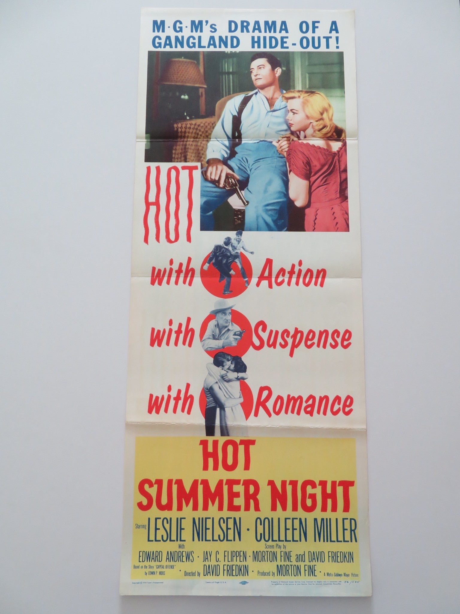 HOT SUMMER NIGHT US INSERT POSTER LESLIE NIELSEN COLLEEN MILLER 1956 ...