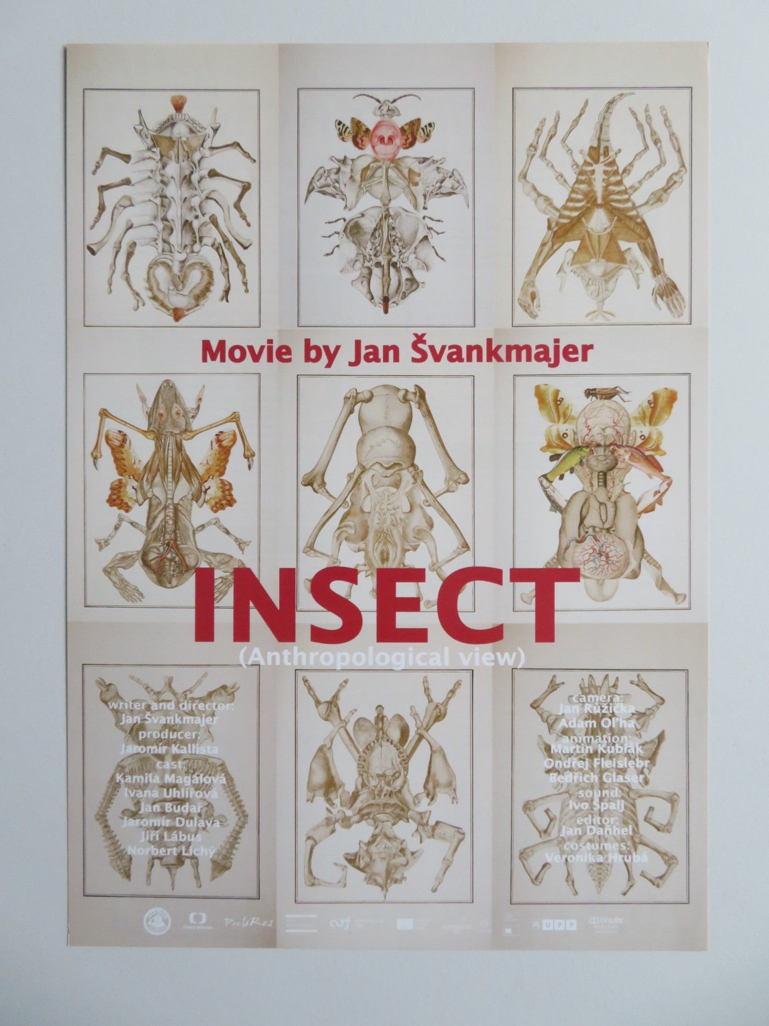INSECT- B JAPANESE CHIRASHI (B5) POSTER IVANA UHLIROVA JAN BUDAR 2018 ...