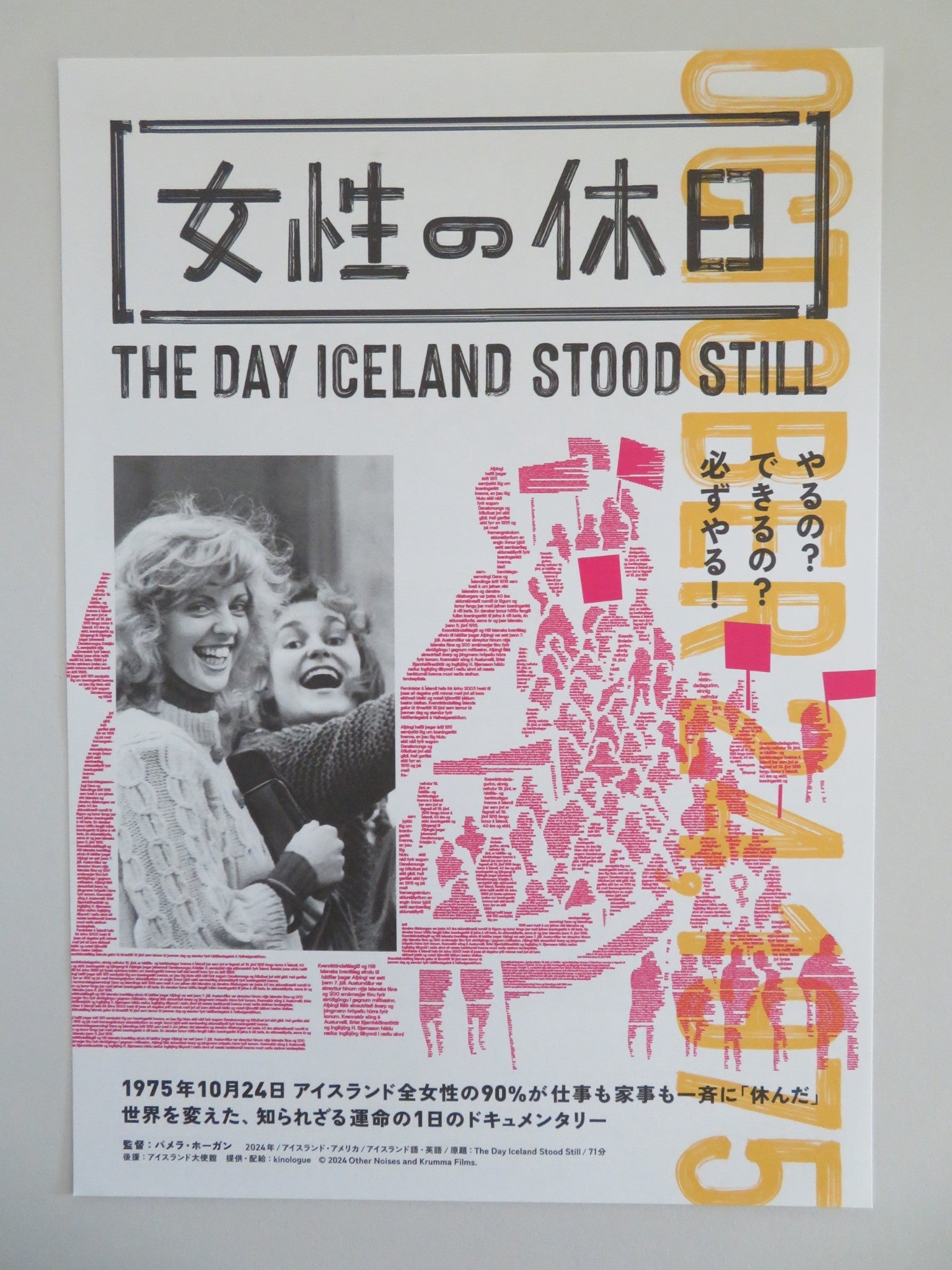 THE DAY ICELAND STOOD STILL JAPANESE CHIRASHI (B5) POSTER PAMELA HOGAN ...