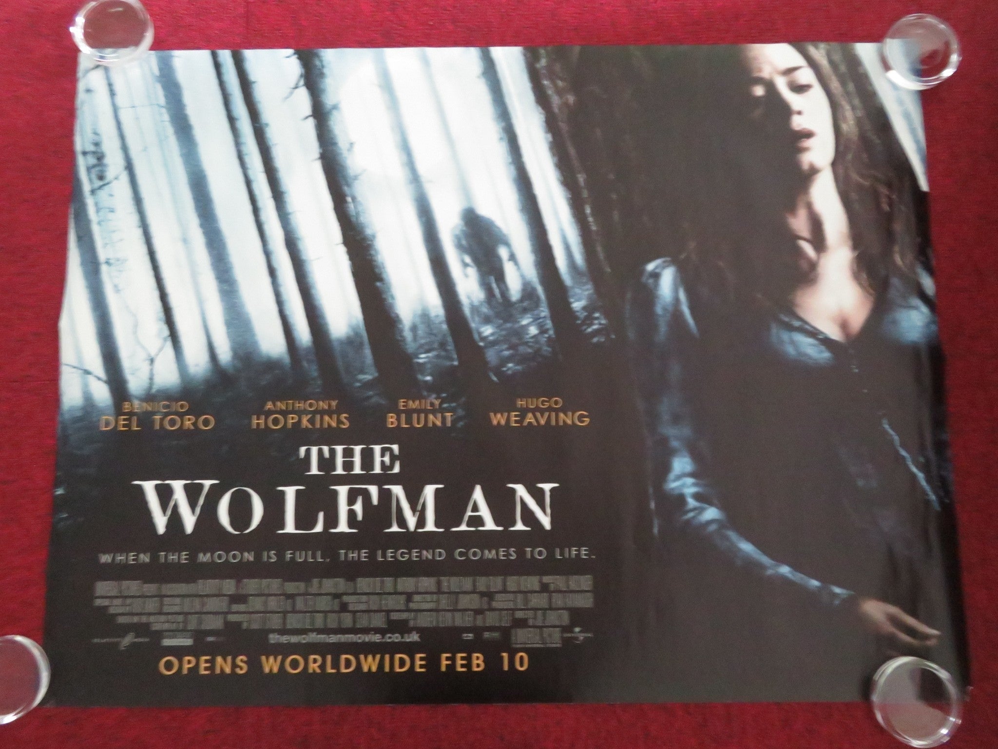 THE WOLFMAN UK QUAD ROLLED POSTER BENICIO DEL TORO ANTHONY HOPKINS E ...