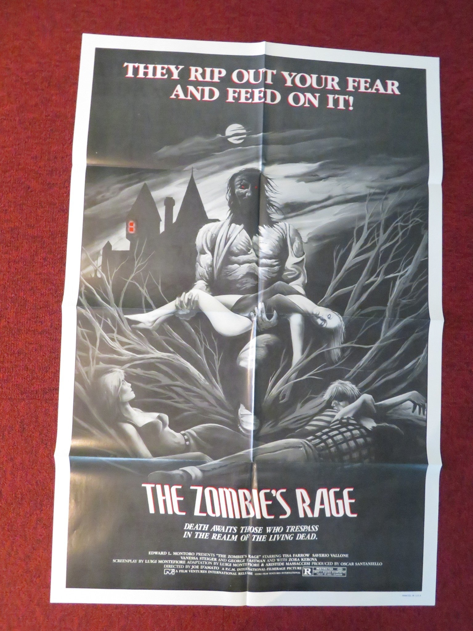 THE ZOMBIE'S RAGE/ ANTHROPOPHAGUS:THE GRIM REAPER FOLDED US ONE SHEET ...