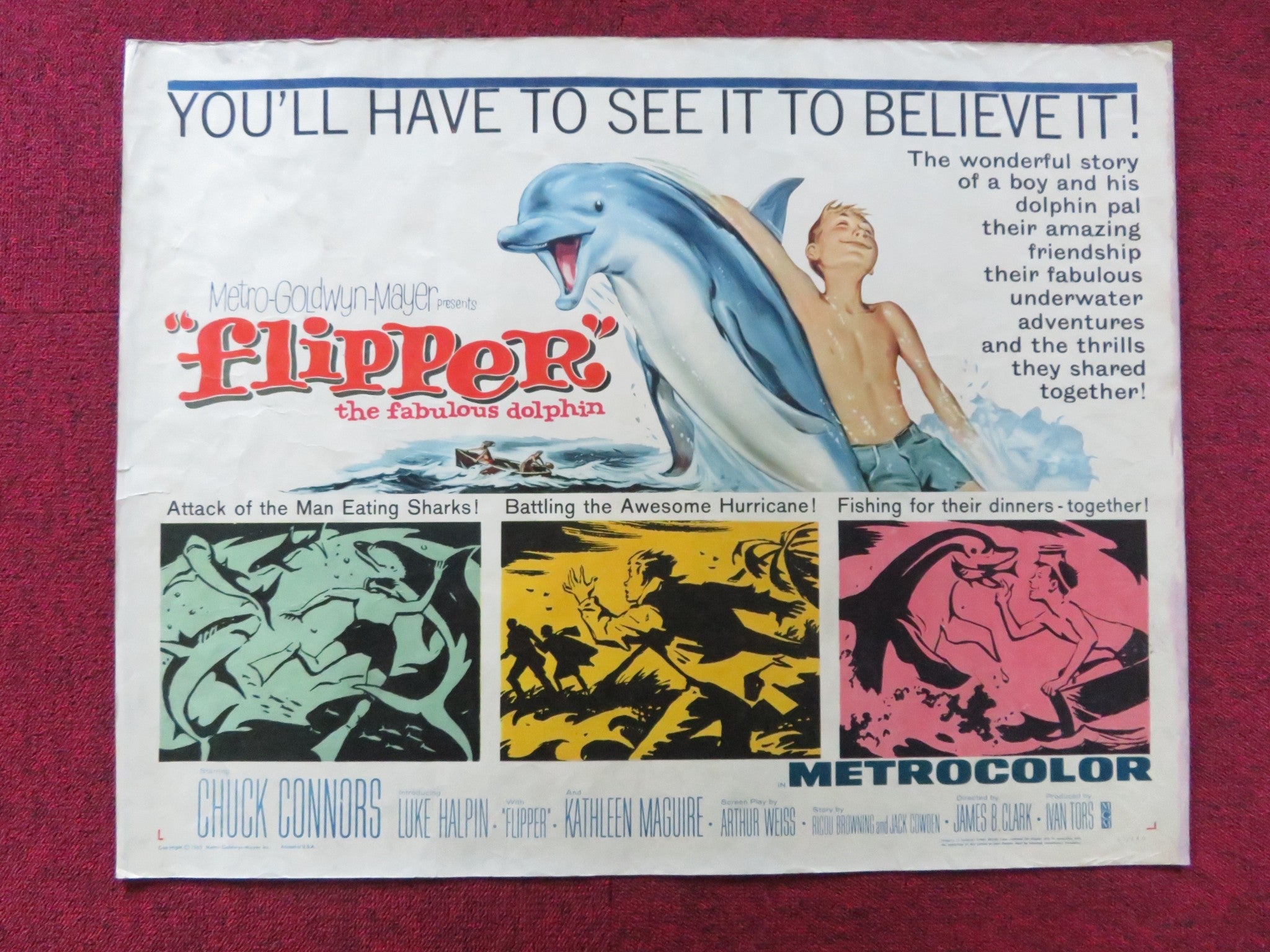 FLIPPER HALF SHEET (22"x 28") POSTER CHUCK CONNORS LUKE HALPIN 1963 ...