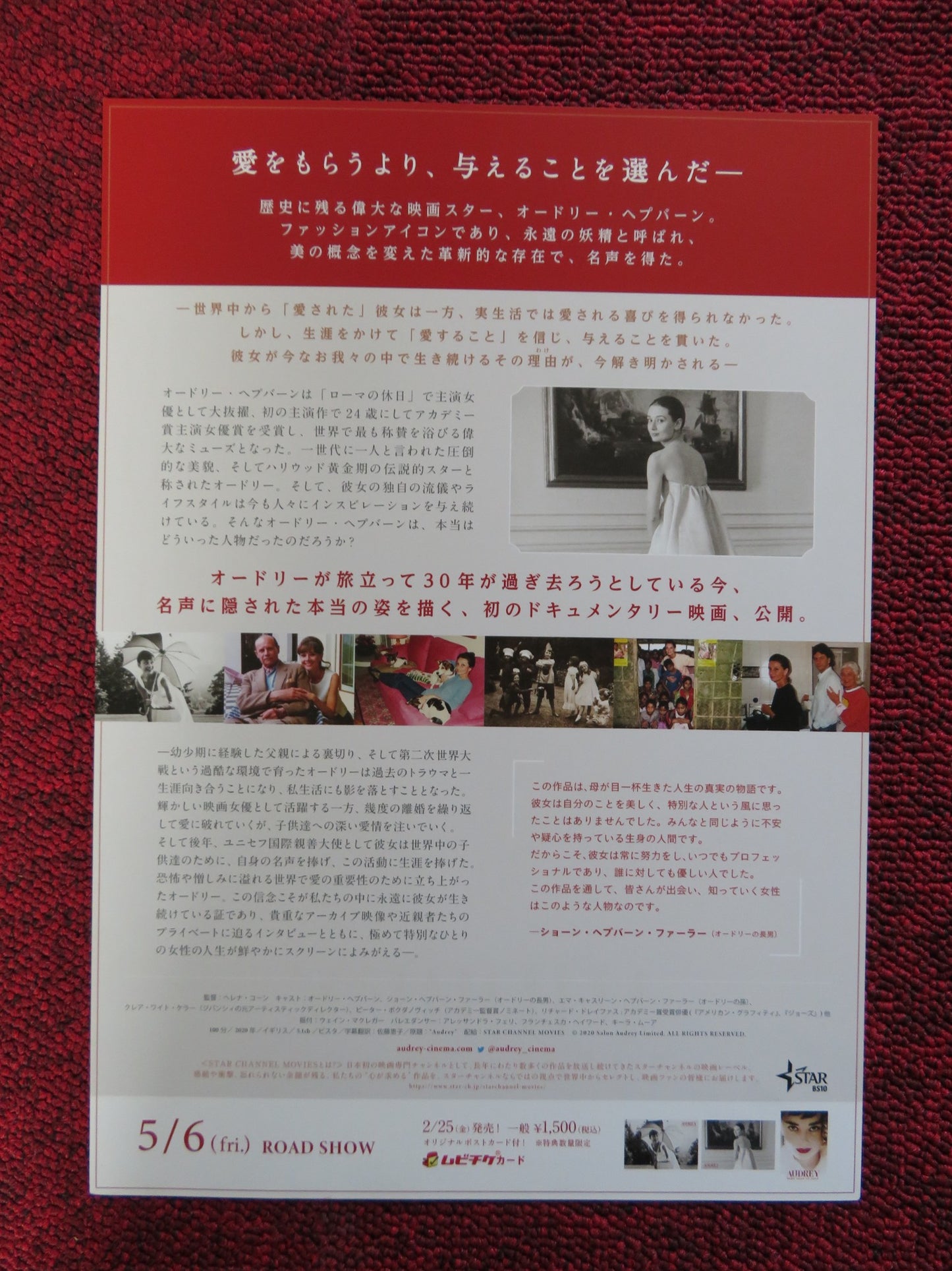 AUDREY JAPANESE CHIRASHI (B5) POSTER AUDREY HEPBURN RICHARD DREYFUSS 2 ...
