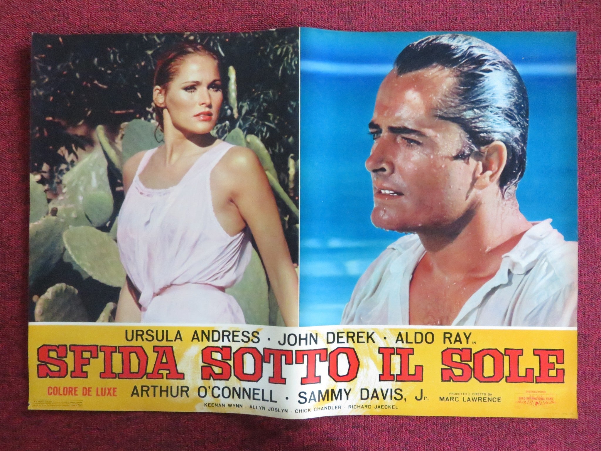 NIGHTMARE IN THE SUN - B ITALIAN FOTOBUSTA POSTER URSULA ANDRESS JOHN ...