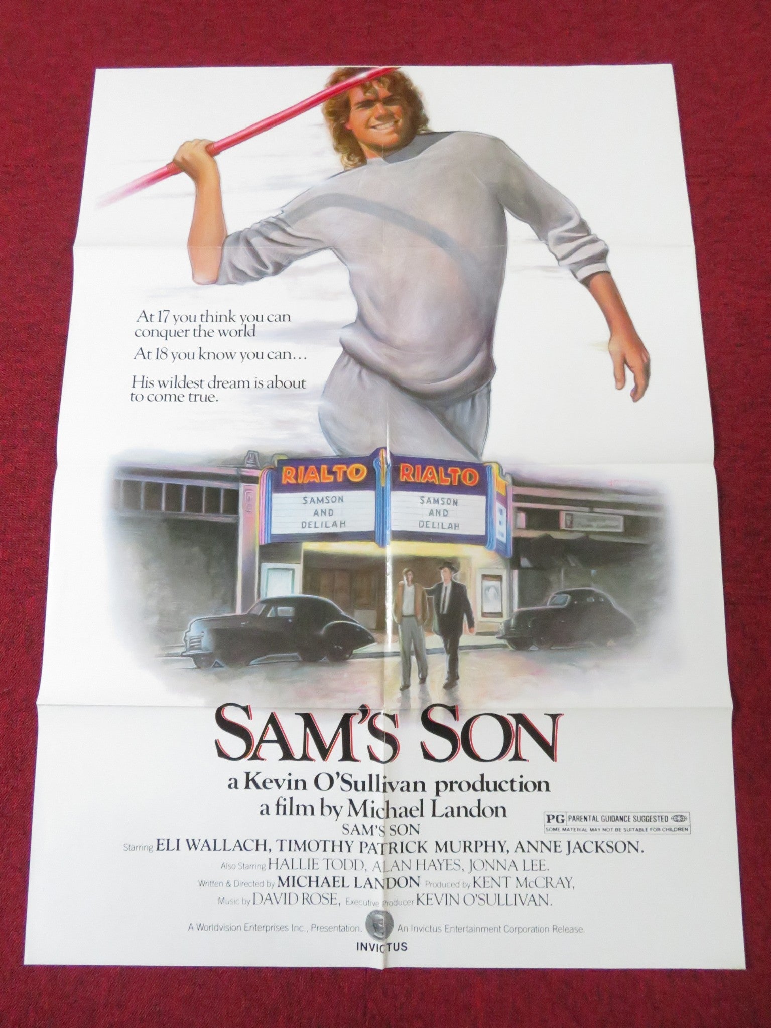 SAM'S SON FOLDED US ONE SHEET POSTER ELI WALLACH ANNE JACKSON 1984 ...