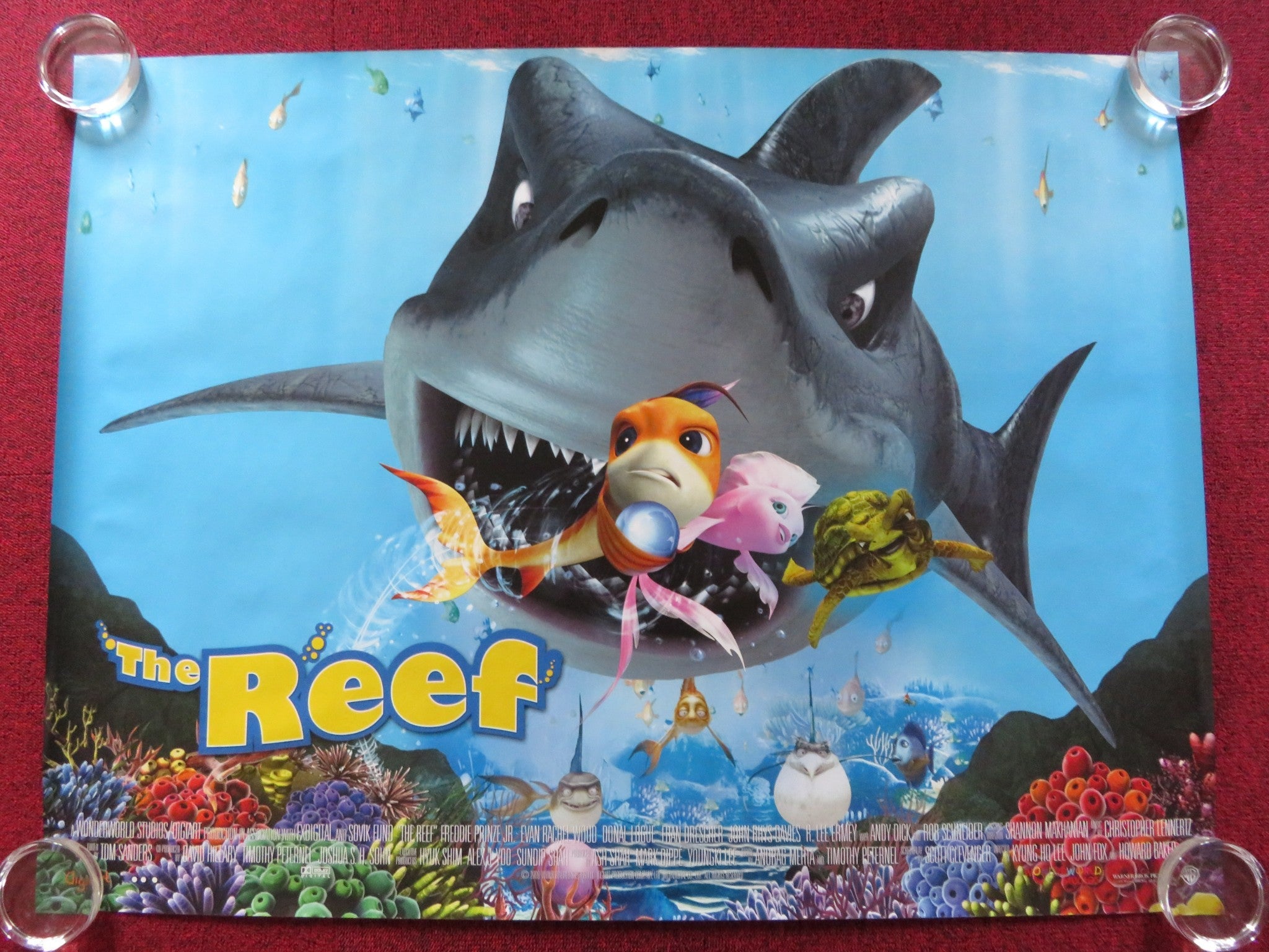 THE REEF UK QUAD (30"x 40") ROLLED POSTER FREDDIE PRINZE JR. 2006 ...