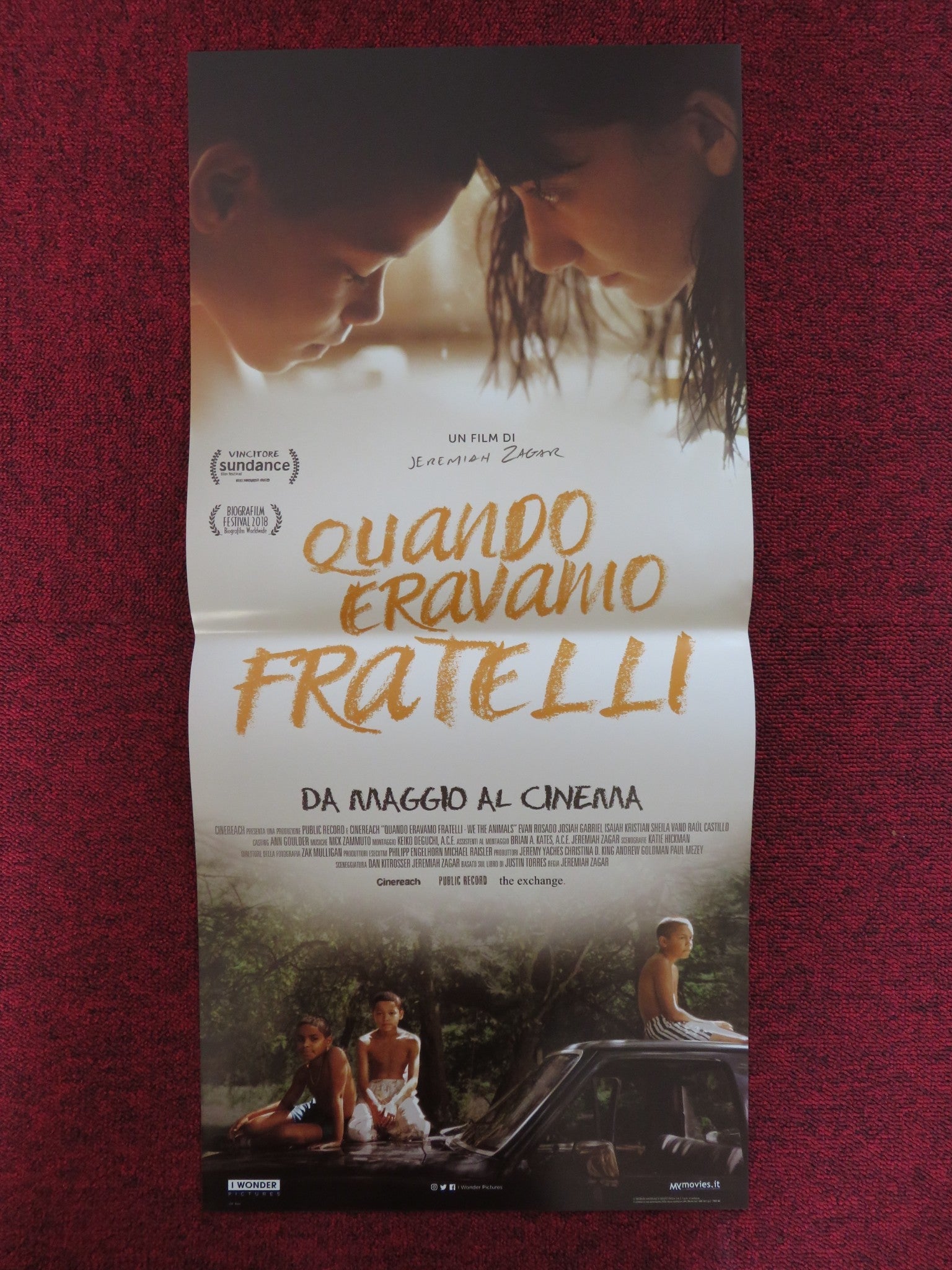 WE THE ANIMALS ITALIAN LOCANDINA POSTER EVAN ROSADO RAUL CASTILLO 2018 ...