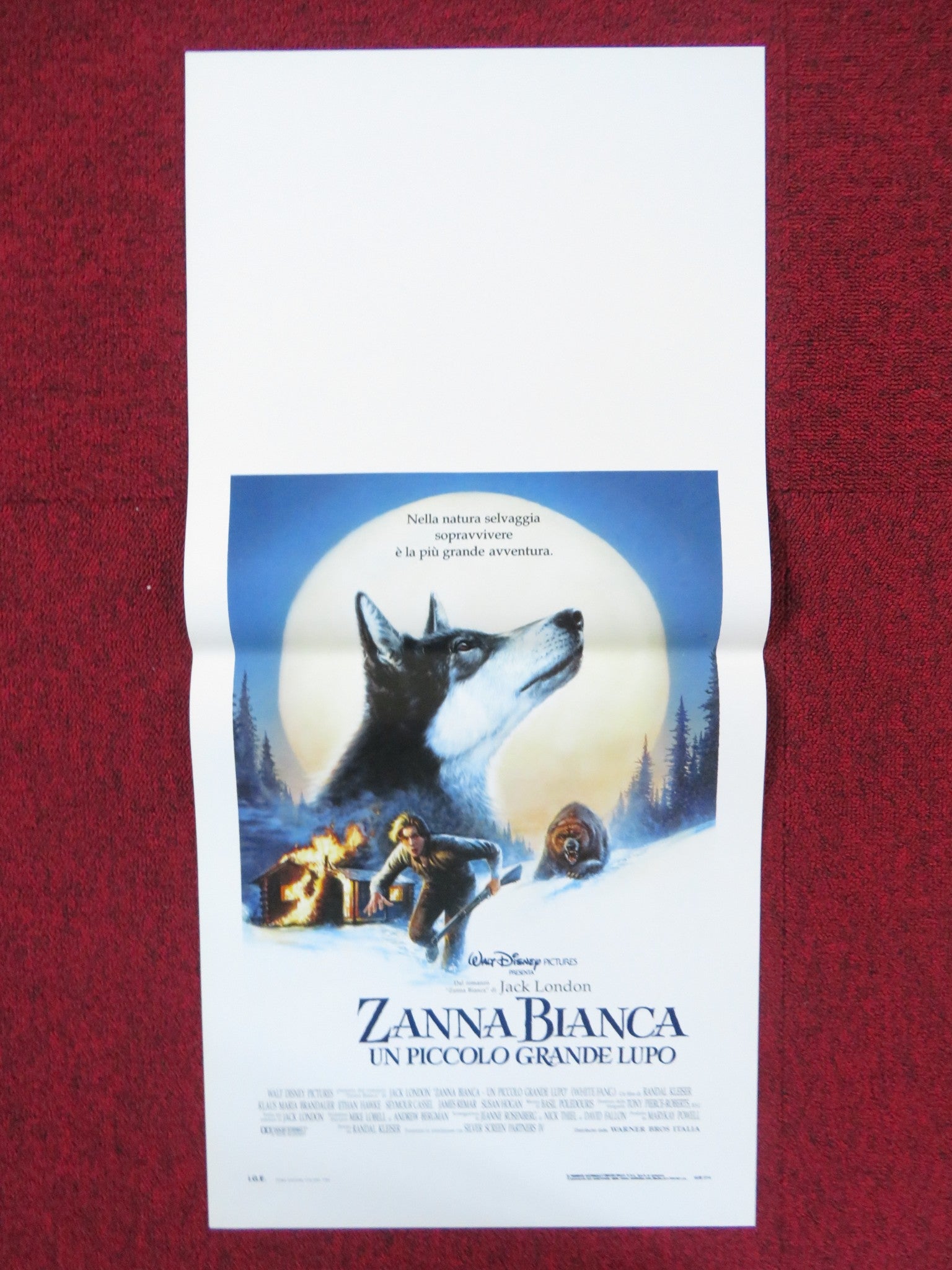 WHITE FANG ITALIAN LOCANDINA POSTER DISNEY ETHAN HAWKE 1991 ...